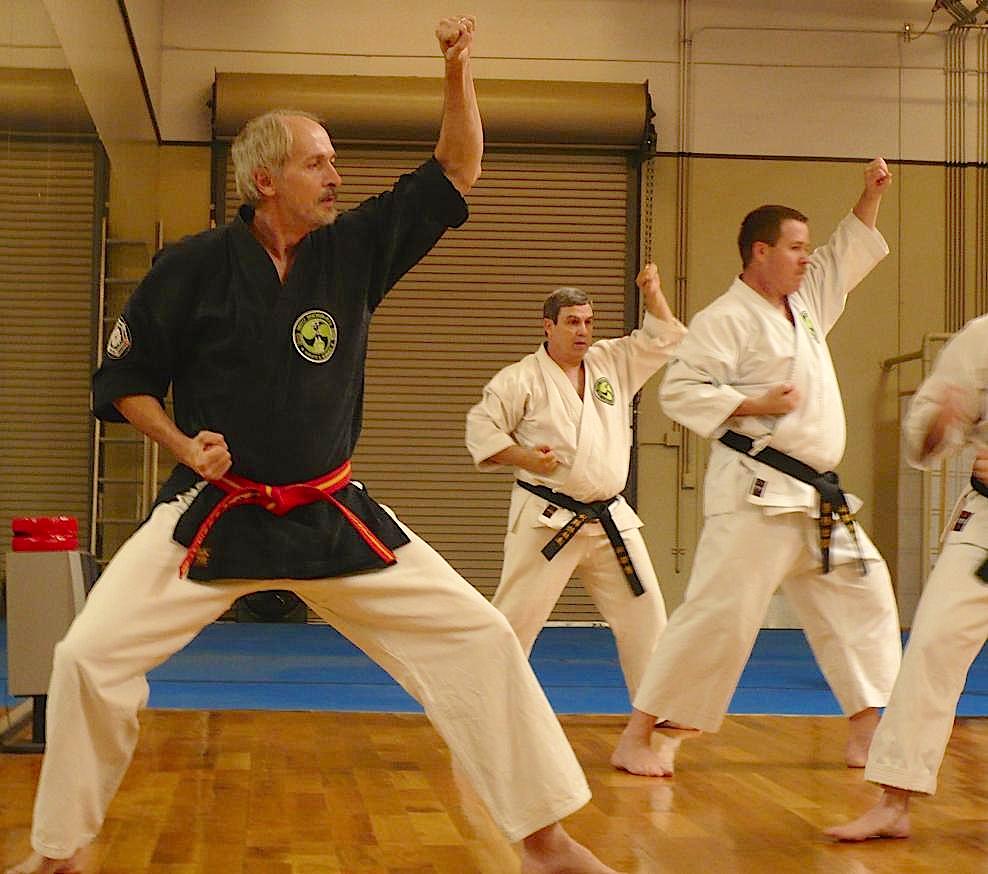 Shorin-Ryu Karate & Kobudo in Arizona: 2015