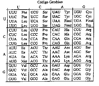 Ciencias del mundo contemporaneo: LA REVOLUCIÓN GENÉTICA: ADN (TEOREMA ...