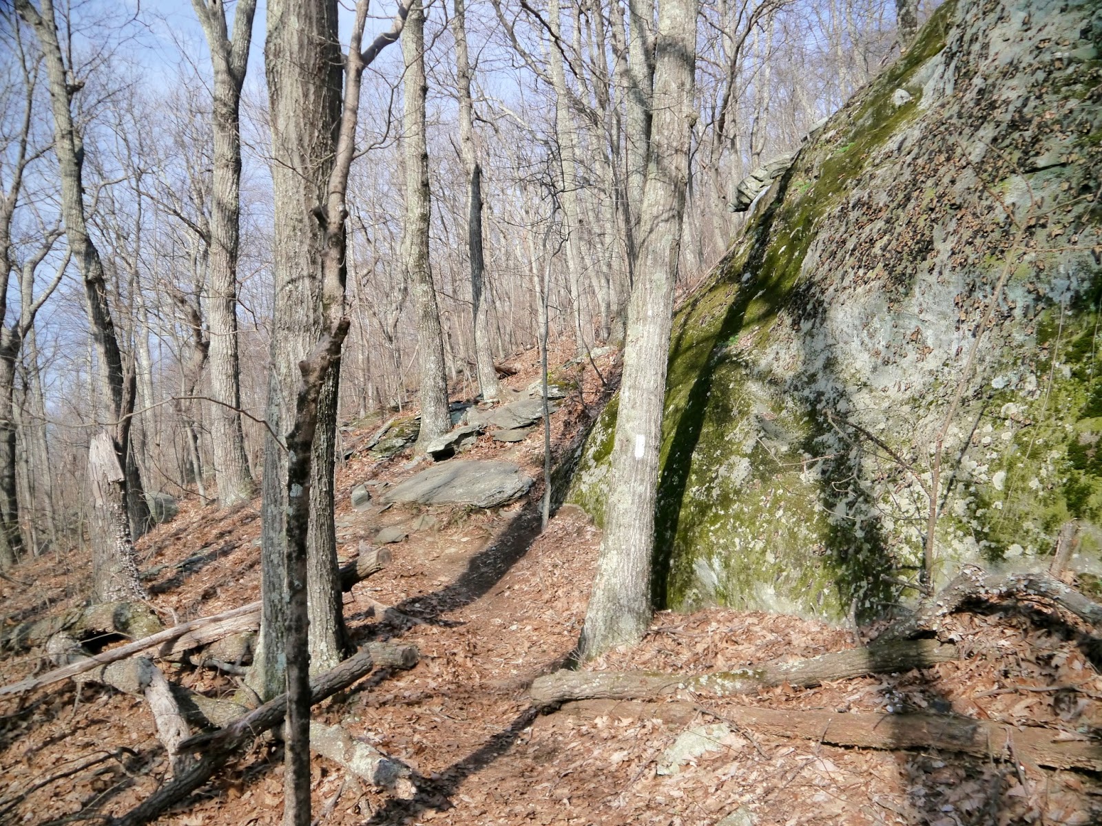 American Travel Journal: Rockfish Gap to McCormick Gap - Appalachian ...