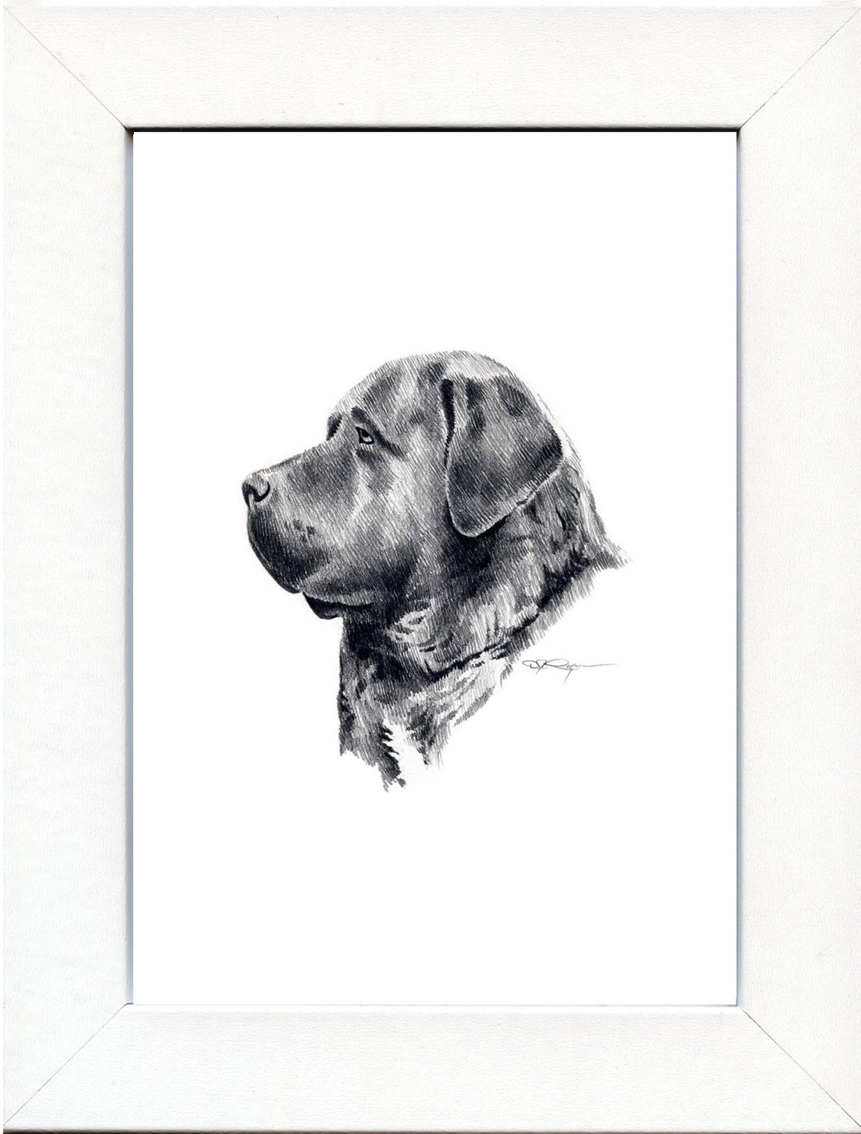 jjjewel.resimlerim: KÖPEK TEMALI ÇERÇEVELİ ÇİZİM RESİMLER