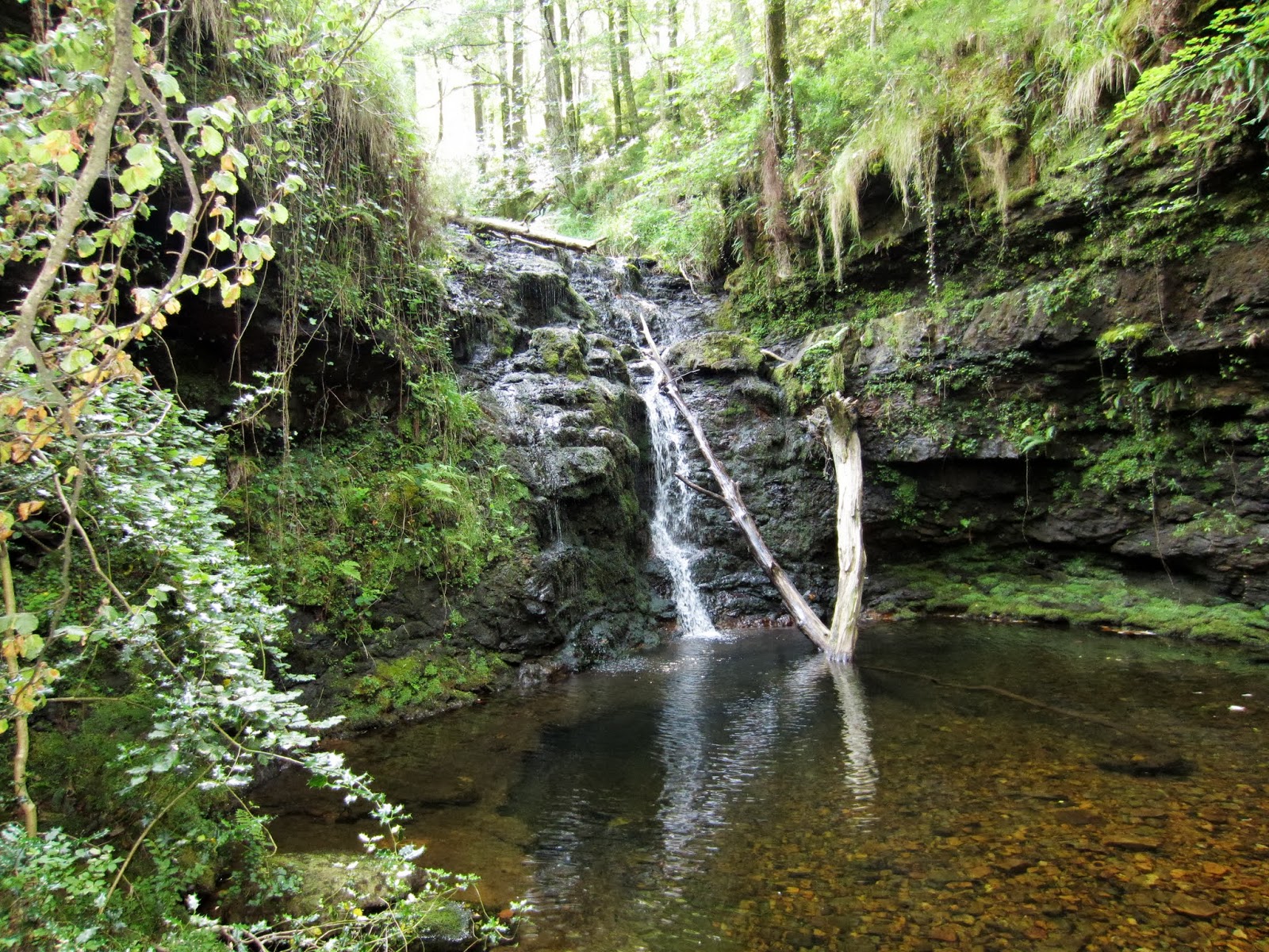 LOS SALTAPRAOS: CASCADAS DEL ARROYO DE VIAÑA