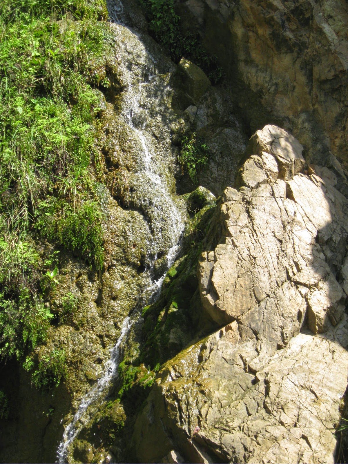 MuthyalaMaduvu , Pearl Valley , Anekal , near Bengaluru