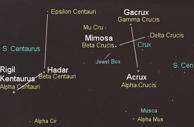 THE NATURE AND LIVING WORLD: Stars in galaxies