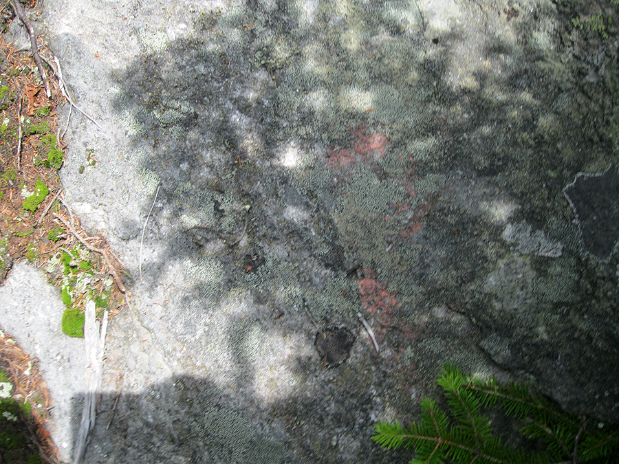 Hiking in the White Mountains: The Abandoned Adams Slide Trail