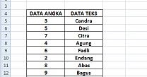 Cara Mudah Mengurutkan Data Angka Dan Teks di Excel 2007 - Fungsi dan ...