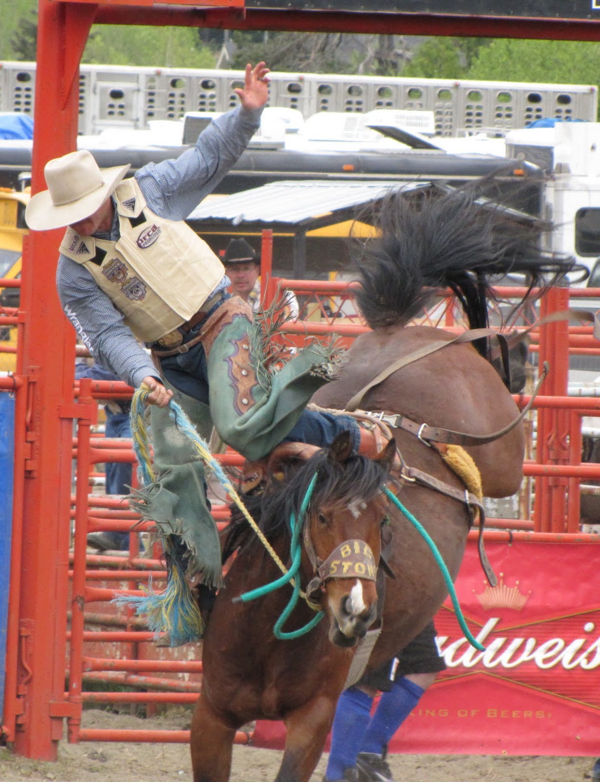 Millennium Dragon: May 2011 - Luxton Rodeo Images...