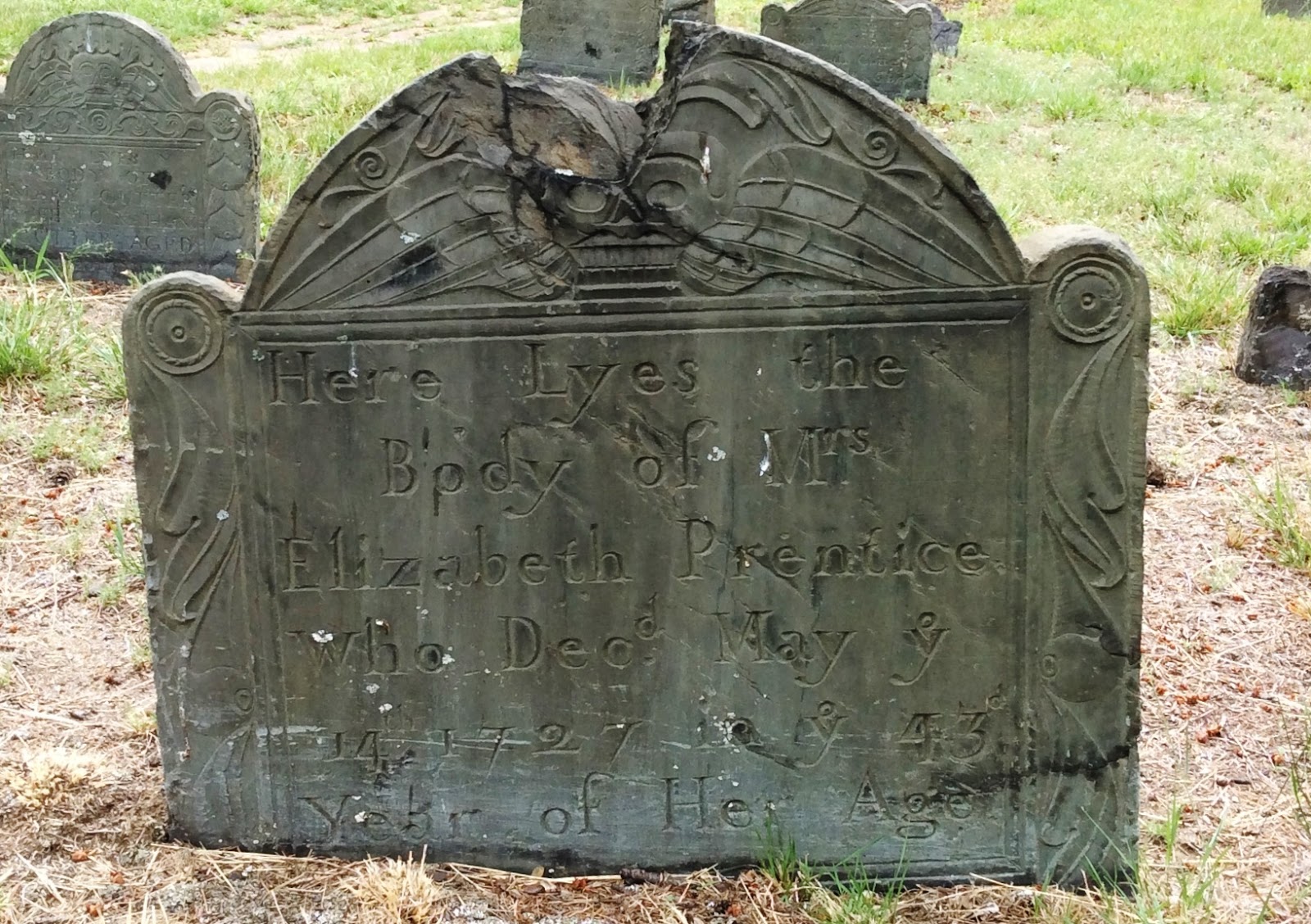 Life From The Roots: Mary Prentice Balch, and Prentice Siblings ...