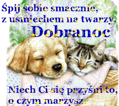 Wierszyki i gify na dobranoc: Gify na dobranoc kotki