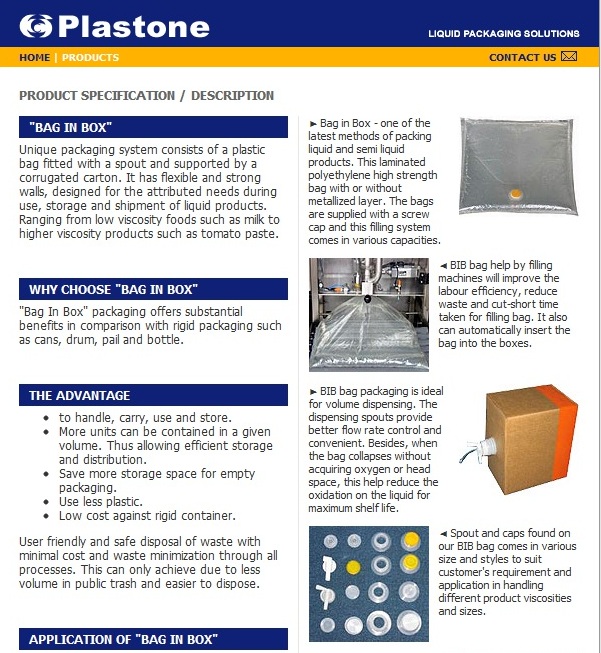 FINAL YEAR PROJECT MINOR