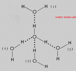Why Boiling Point of water is greater than HF ? - EveryDay