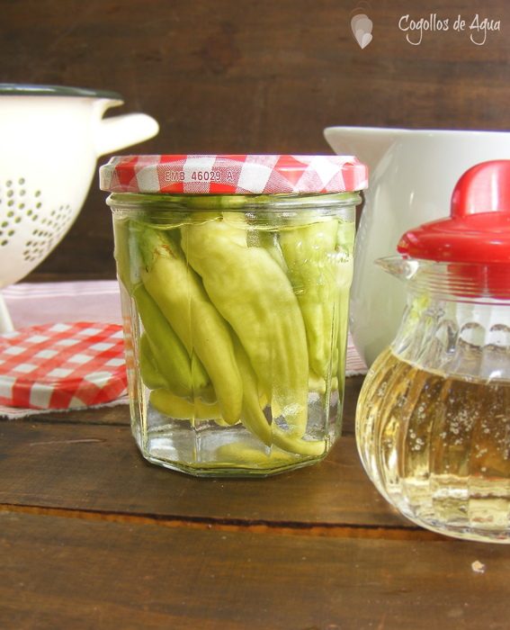 Verduras para todos: GUINDILLAS EN VINAGRE