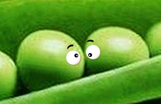 67 Not Out: The Coincidence Of Lives Like Two Peas In A Pod