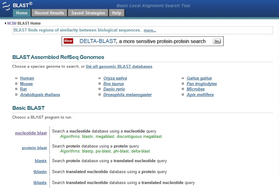 Learn Bioinformatics: How to run Blast?