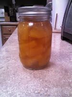 Carleen's Crafty Kitchen: Pumpkin....Canned and Puree