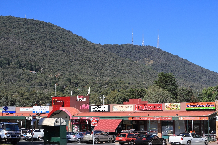 Montrose's Wild Garden: About Montrose