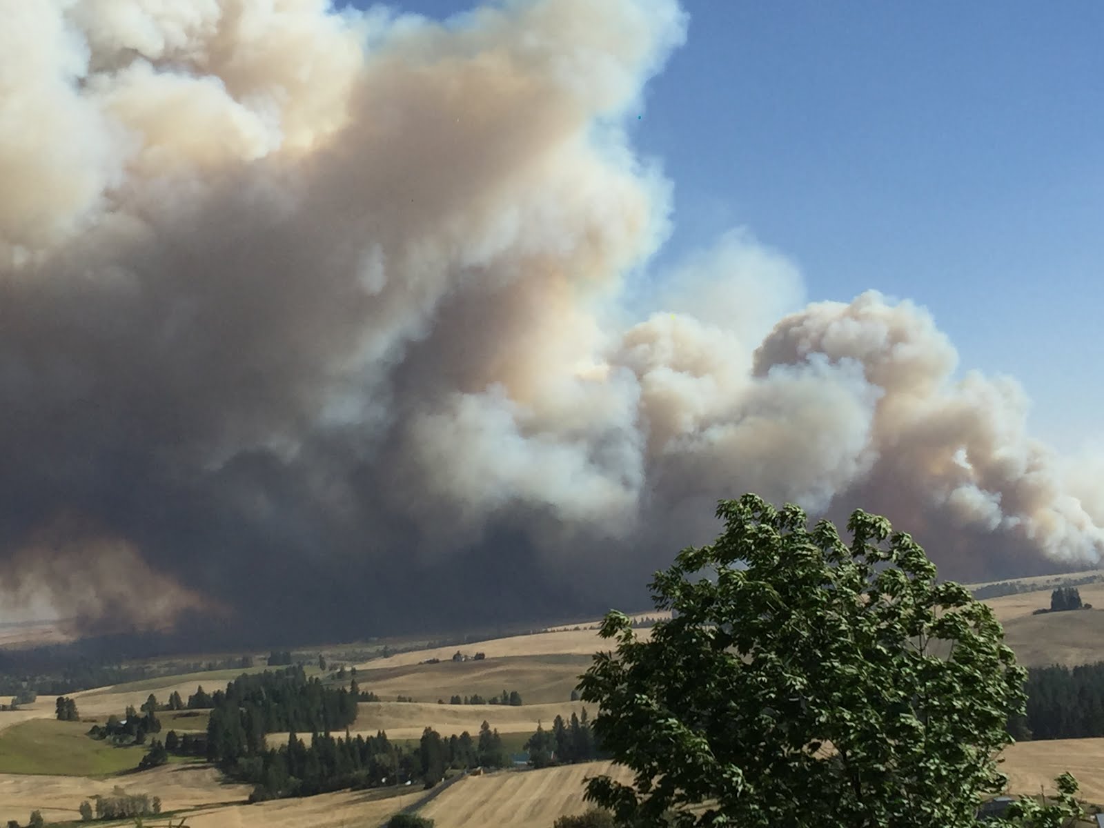 Evergreen Railroad Club: Close up views of Palouse fire