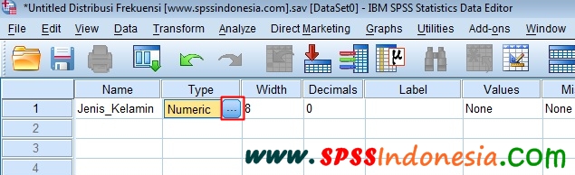 Cara Membuat Tabel Distribusi Frekuensi dan Statistik Deskriptif dengan SPSS - SPSS Indonesia