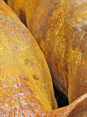 Jennifer Coyne Qudeen: Marvin Gardens