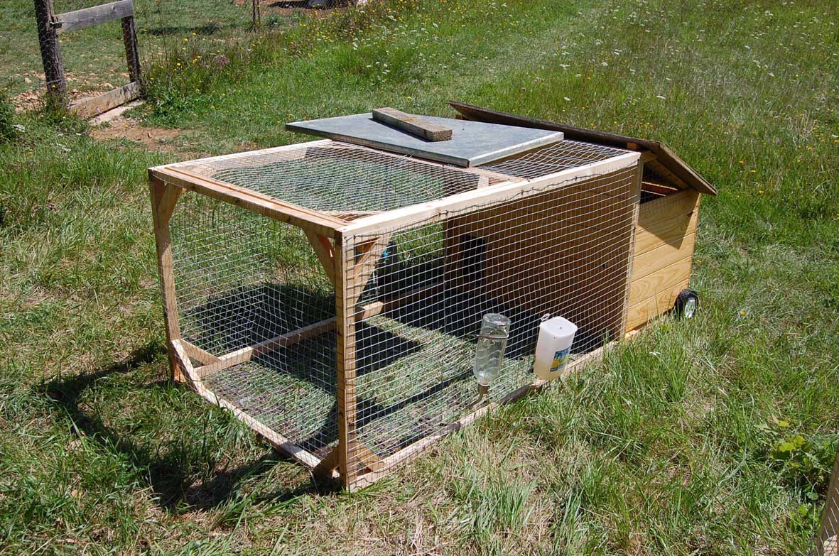 The (d)evolutionary: How to make a mobile rabbit run