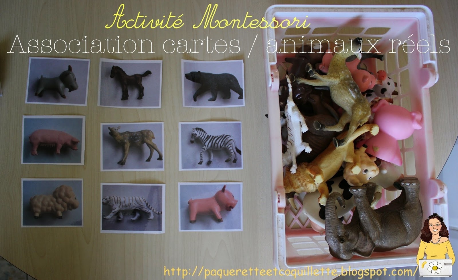 Paquerette et Coquillette: Activité montessori association cartes ...