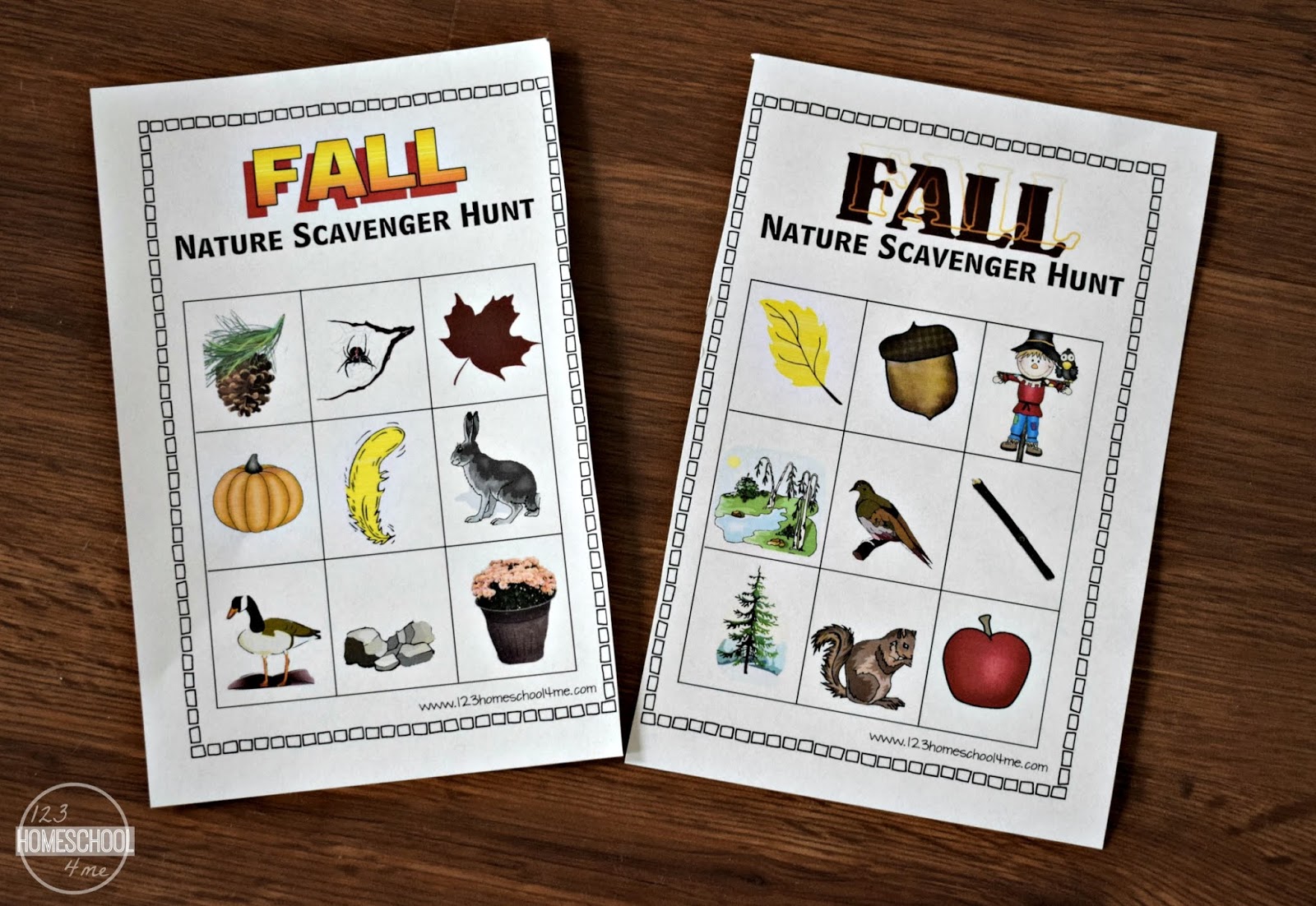 Fall Nature Scavenger Hunt (Freebie!)