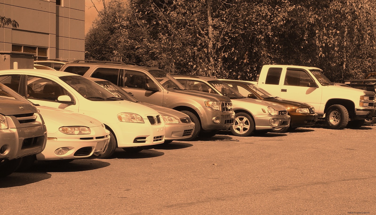 Active Collision Services Ltd.