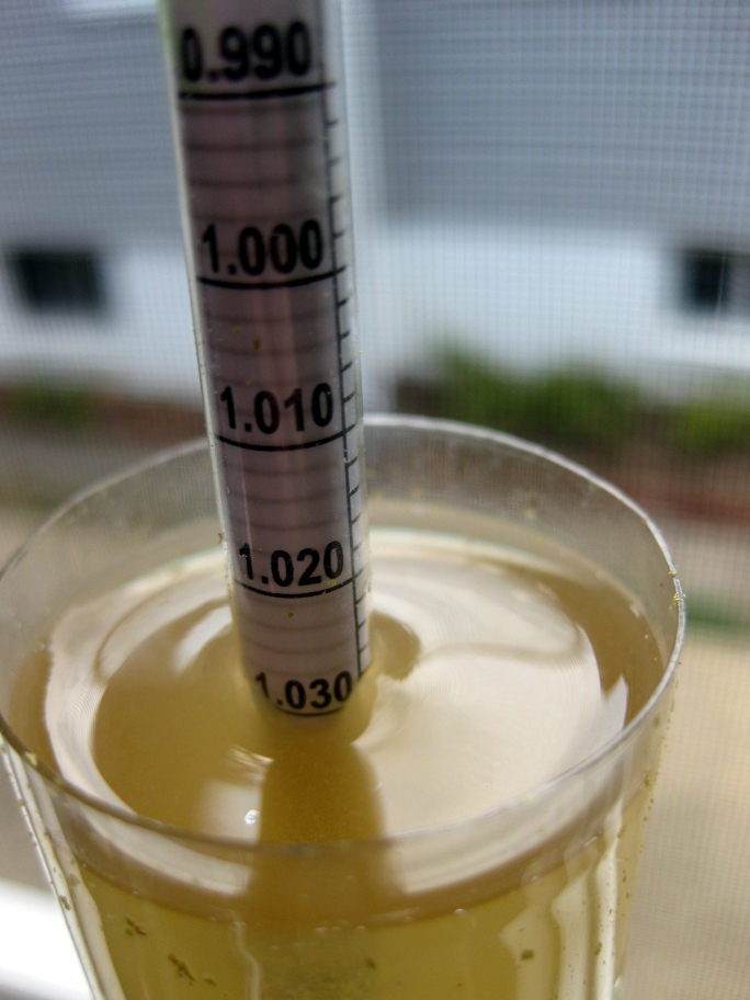 Micro-IPA with Nelson Sauvin | The Mad Fermentationist - Homebrewing Blog