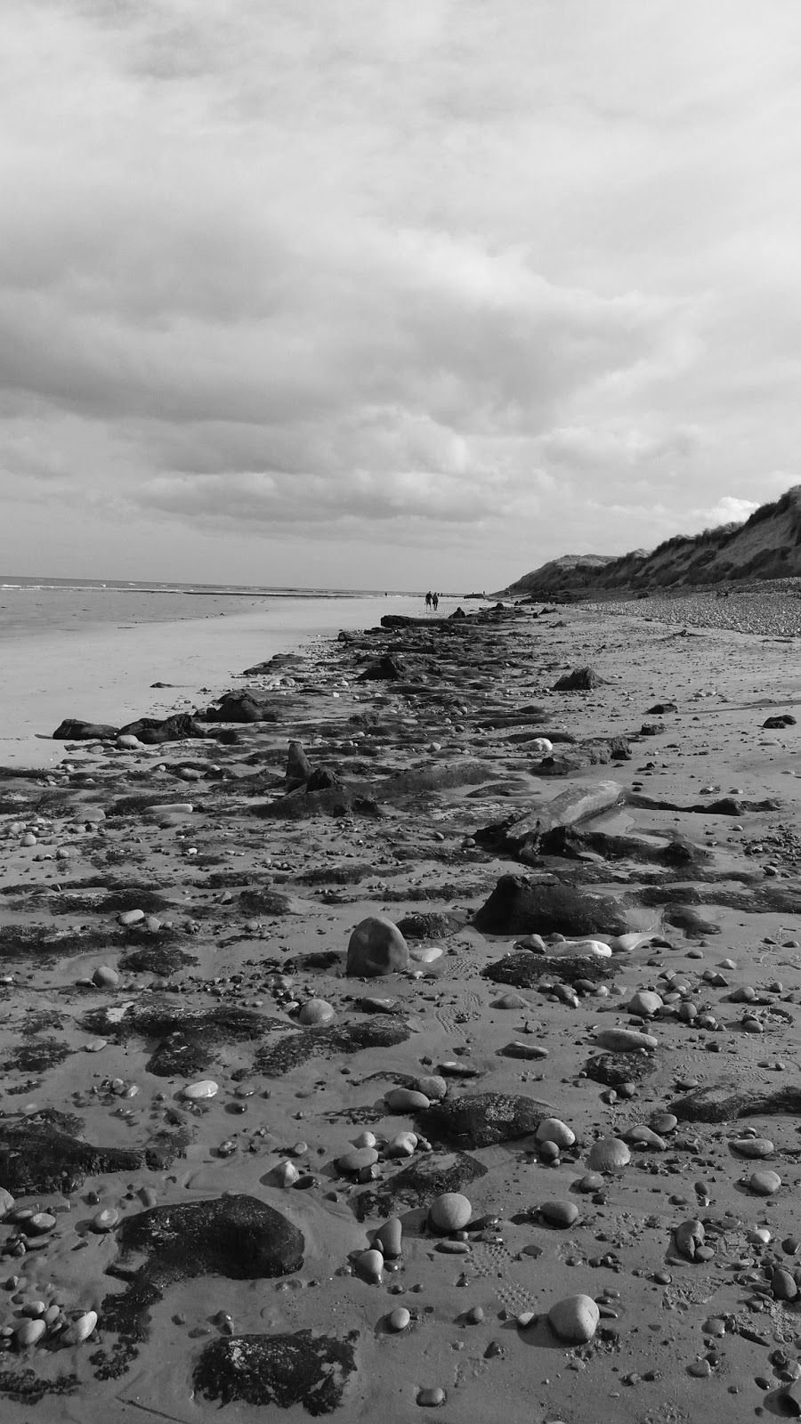 Life's A Beach. The Driftwood Lectures... : AMBLE LINKS BEACH, 25-09-16 ...