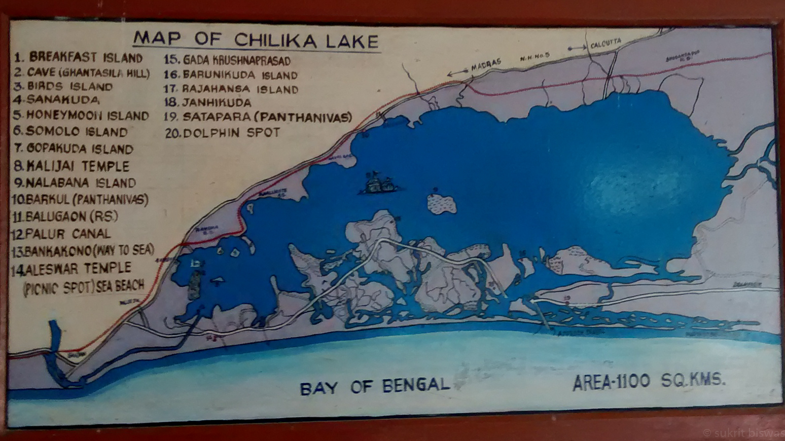 Couple of Rolling Stones: Mangalajodi Bird Sanctuary - The Birders Paradise