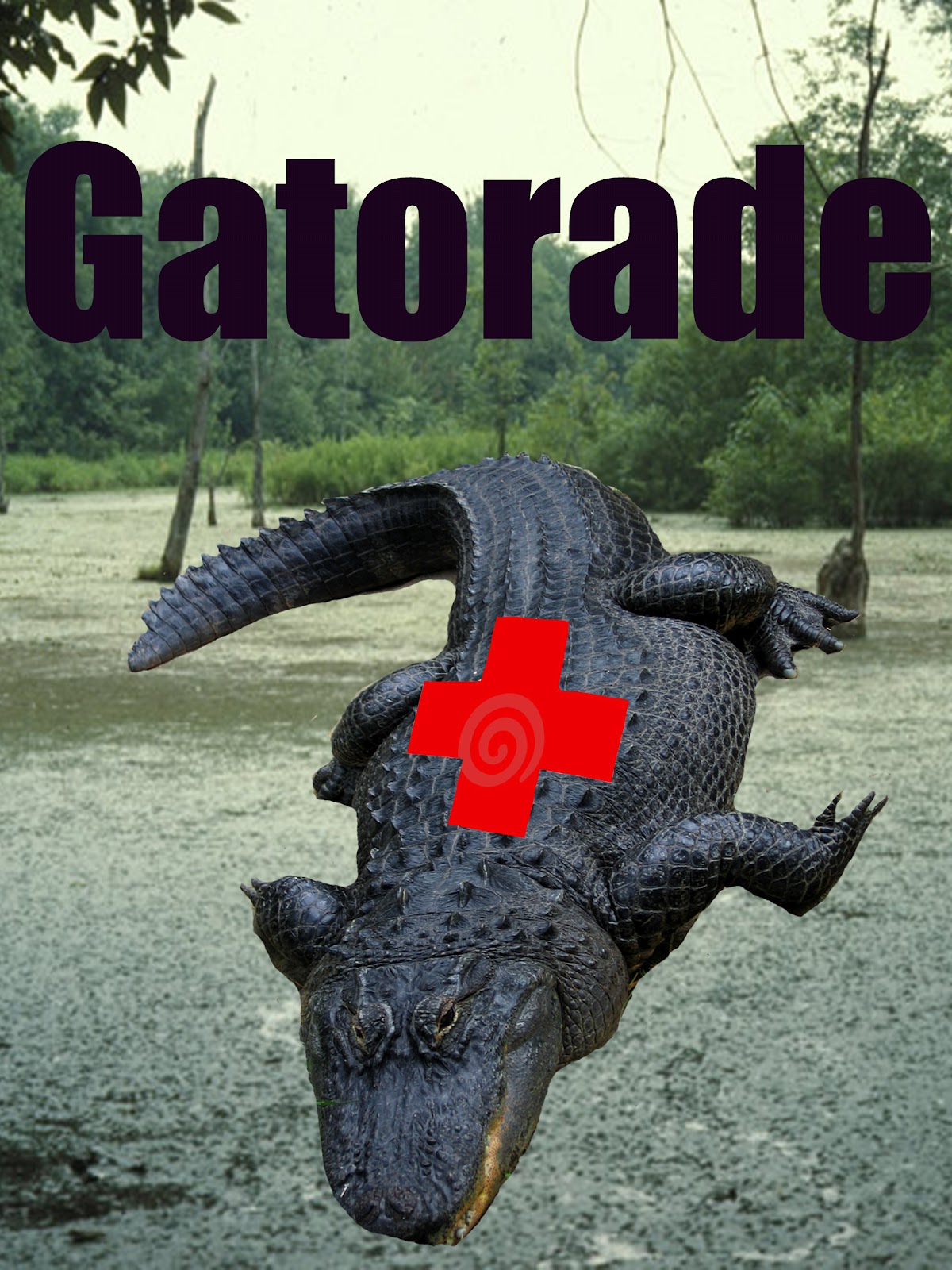 A Blog by Olivia: Gatorade Pun