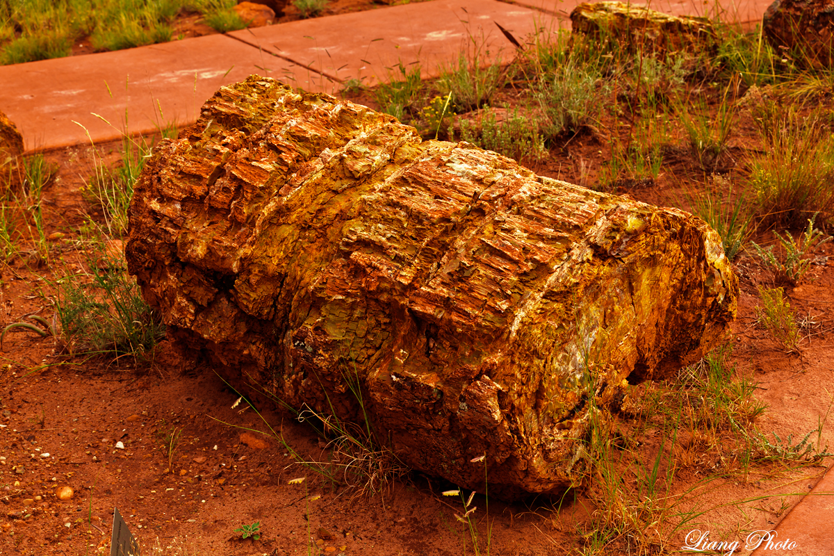 See What I See: Scenic Byway 12