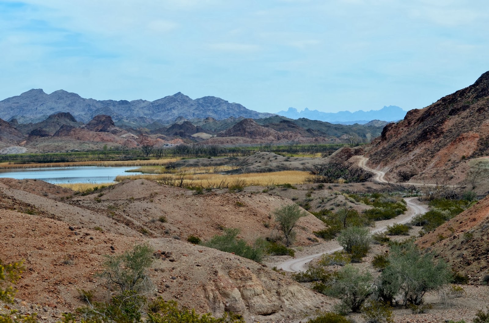 good-times-rollin: Indian Pass Road to Picacho State Recreation Area