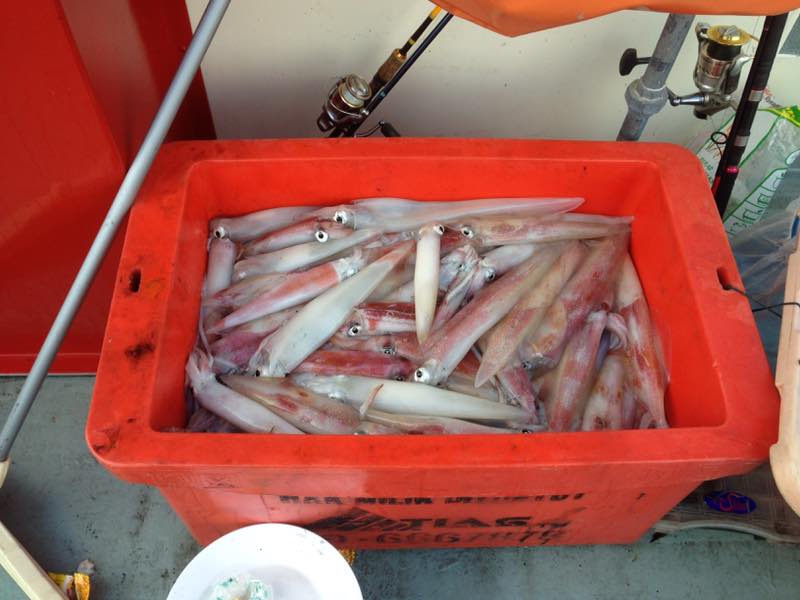 CEAS - SEWAAN ATV DAN BOAT: SEWAAN MENCANDAT SOTONG DI LAUTAN PAKA