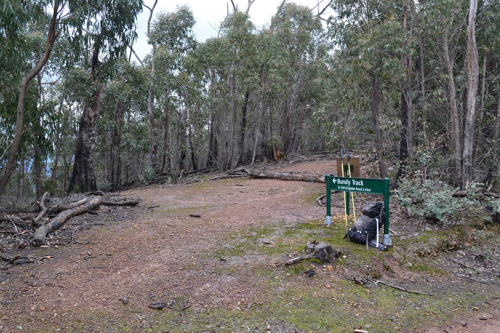 Goin' Feral One Day At A Time: Mt Everard Circuit, Kinglake National ...
