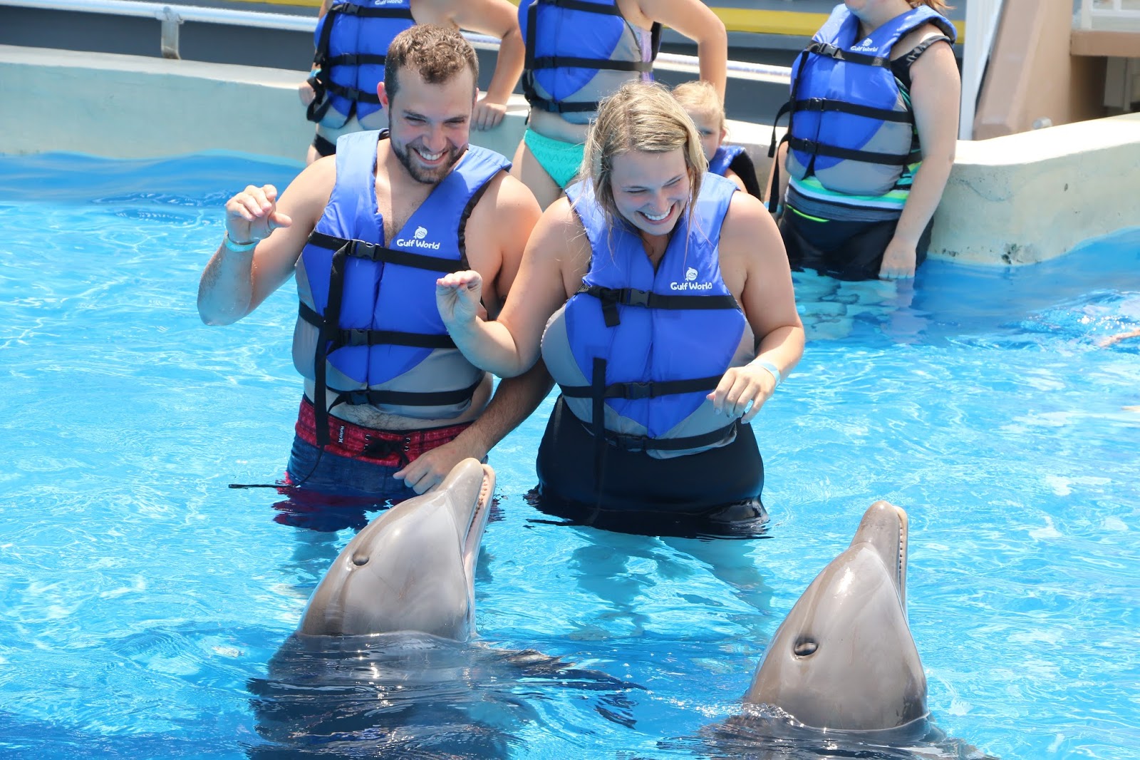 Life Where We Park It: Gulf Shores, Alabama - Swimming with Dolphins