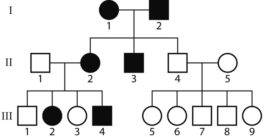 Monsieur Hilario Bio40s: unité 2