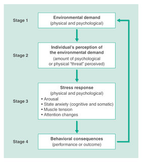 Sports Psychology and the Relationship Between Arousal and Stress ...