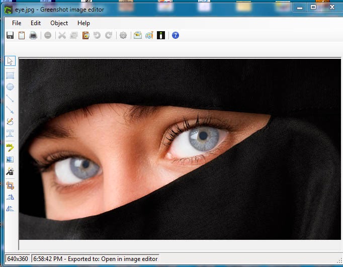 How To Use ::: How to use and optimize greenshot!!