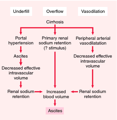 Ascites: Etiology/ Pathophysiology of Ascites