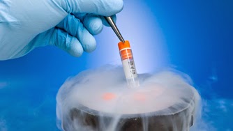 Compressed Gases and Cryogenic Liquids