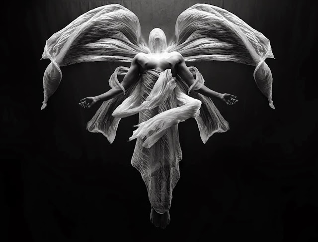 Cromofora La ( Paloma) Contemporary Online Art Gallery: CHRISTIAN HOPKINS