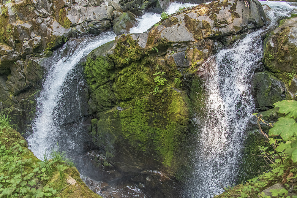 Merikay's Dream : Dosewallips State Park and Olympic National Park