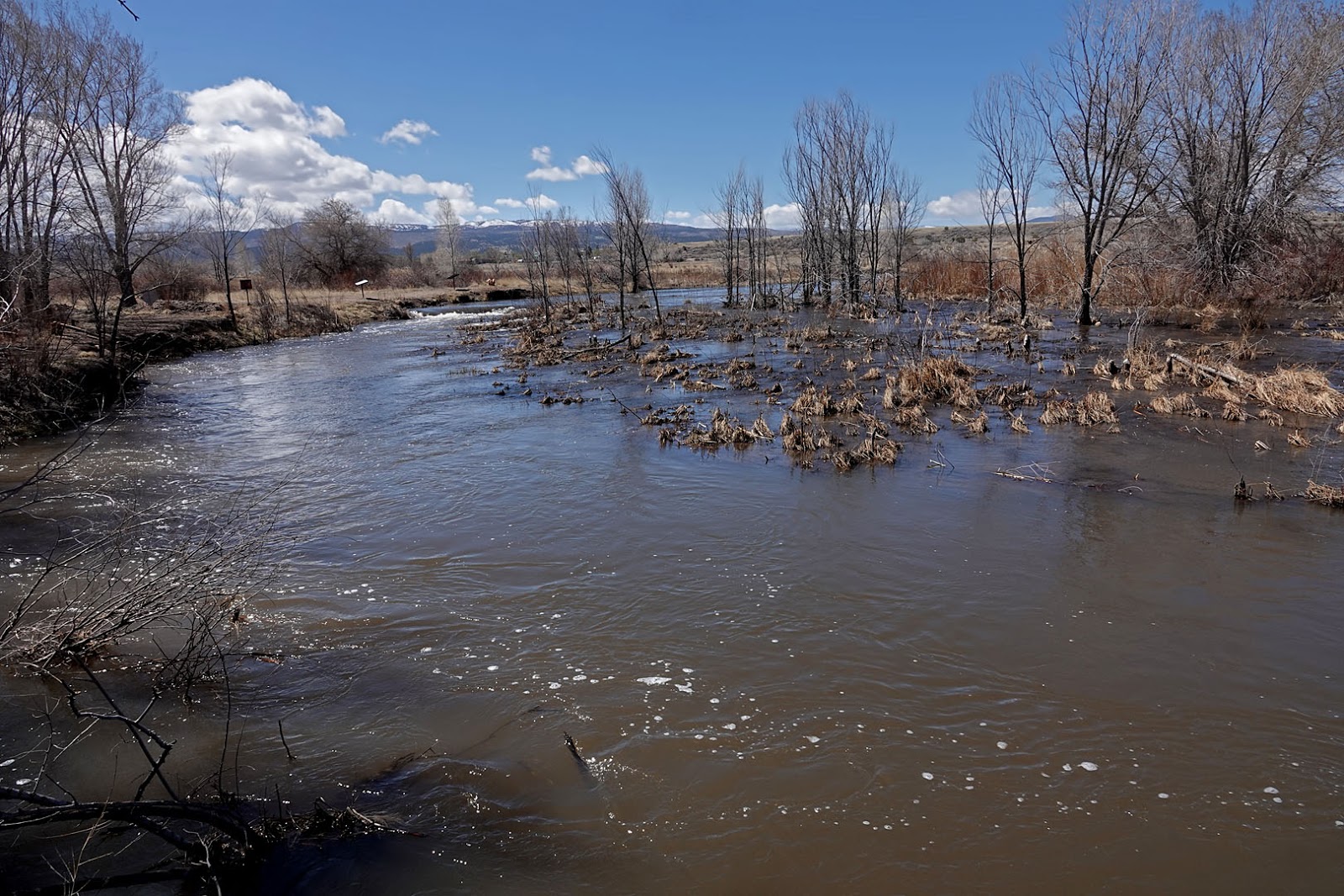 Stan's Travels: Springerville & St Johns, AZ (4/3/2019)