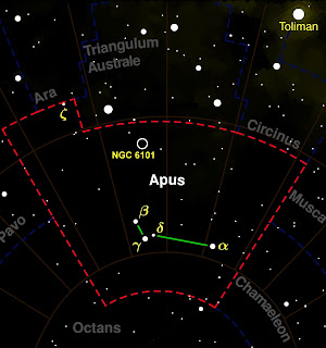 Astronomia: Apus ( Ave do Paraíso )