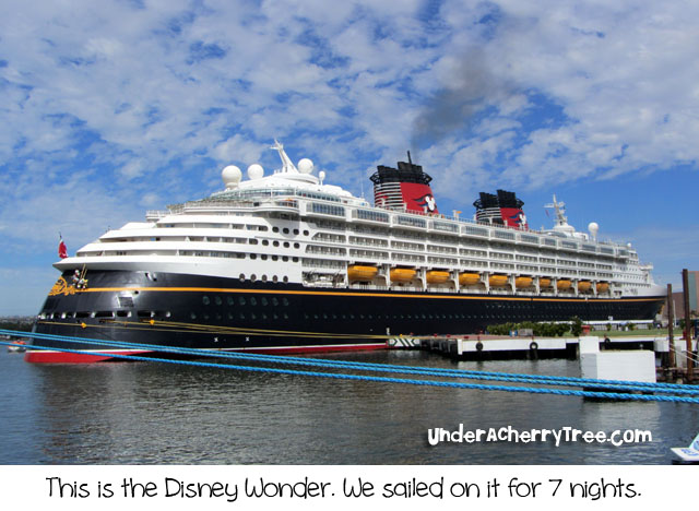 Under A Cherry Tree: Our Mexican Riviera Disney Cruise