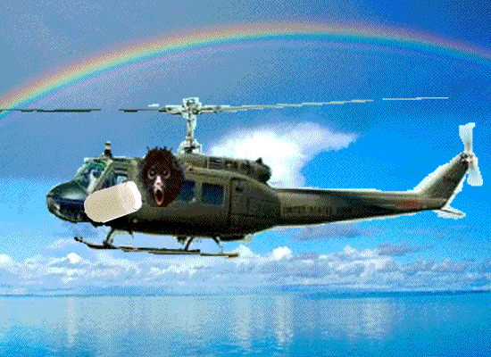 The Blog of an Eccentric: Things I always thought were weird