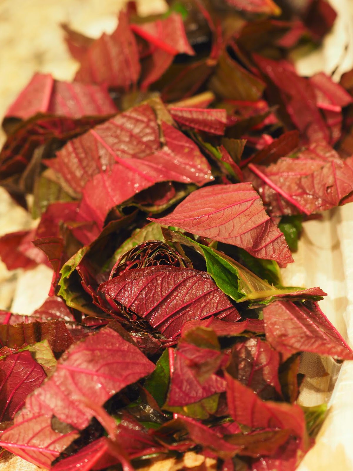 Budding and Blooming: Cooking Amaranth Leaves