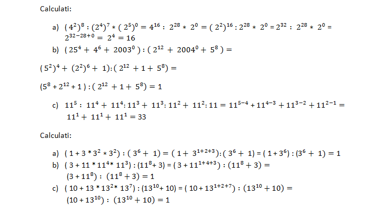 Ora de Matematica: Exercitii cu ridicari la putere