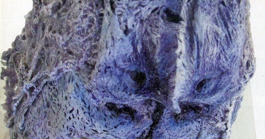 Surrealismo Internacional: Ivan Horacek / Zuca Sardan / Vicente ...