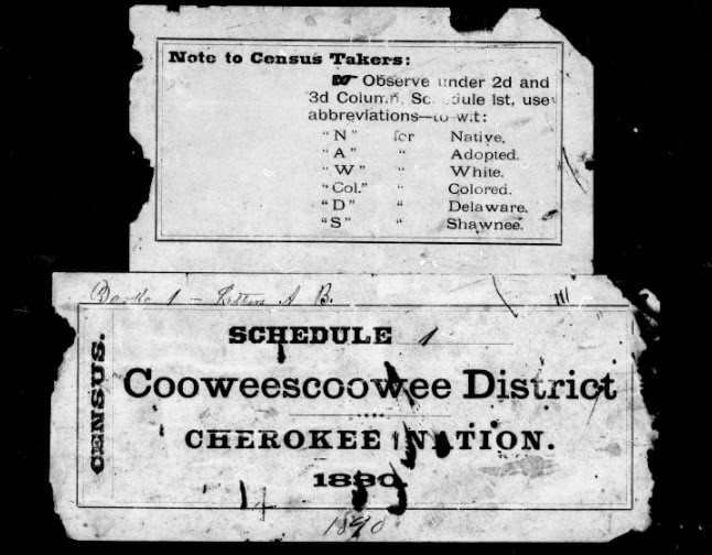My Ancestor's Name: Exploring the Cherokee 1890 Census
